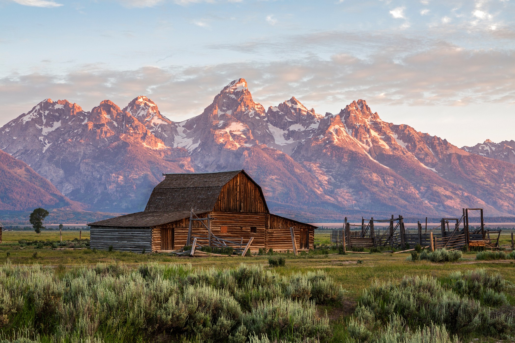 Grizzly Country Wildlife Adventures | Jackson Hole Wildlife Tours